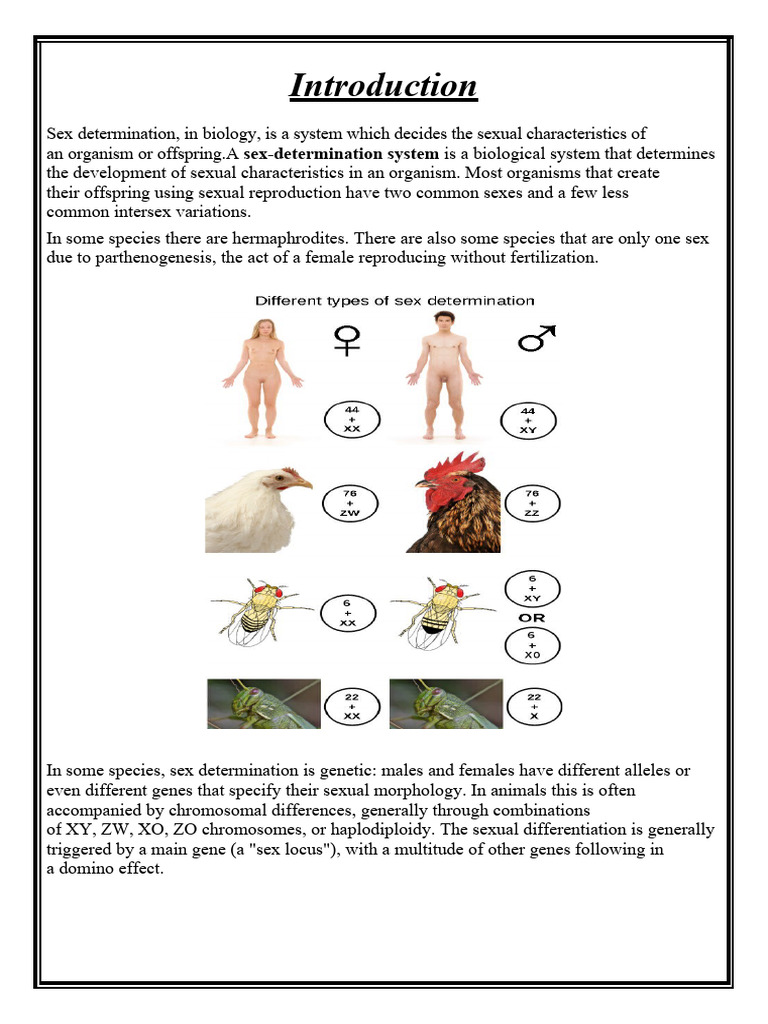 Botany Project | PDF | Sex | Sexual Reproduction
