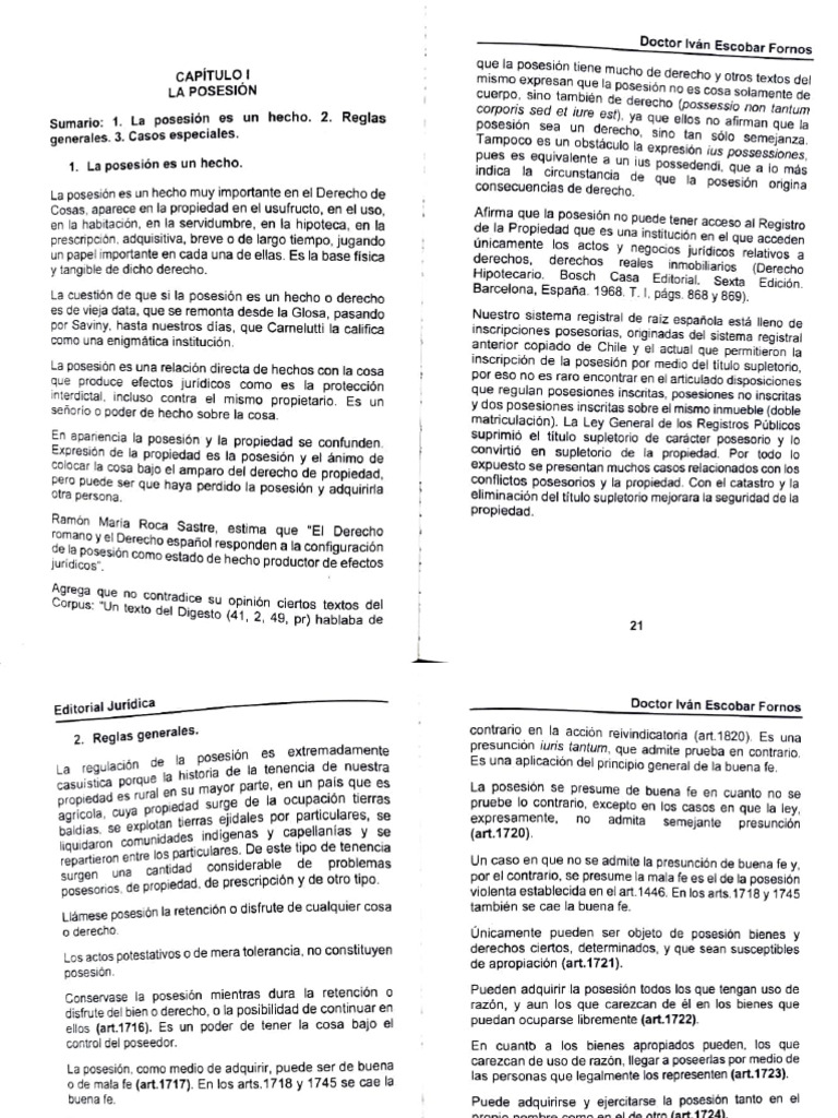 Posesión Derecho de Cosas Fornos 2020 | PDF | Posesión (Ley) | Propiedad