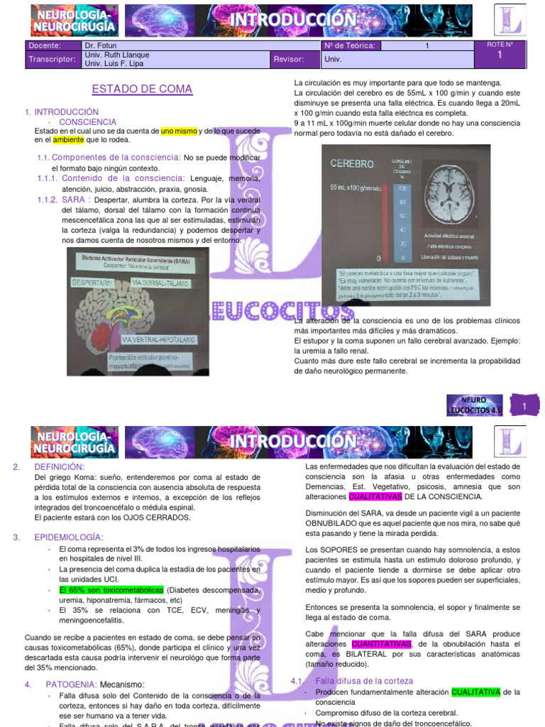 NEU-1-COMA PARTE 1 | PDF | Coma | Cerebro