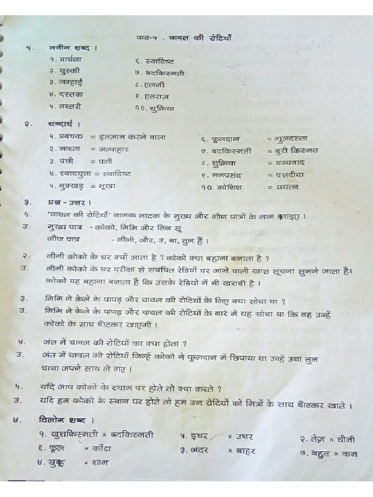 5th FL Hindi 5 TH Lesson Notes | PDF