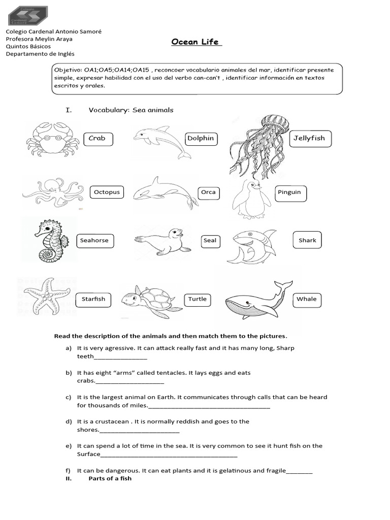 Worksheet Sea Animals | PDF | Fish | Sharks