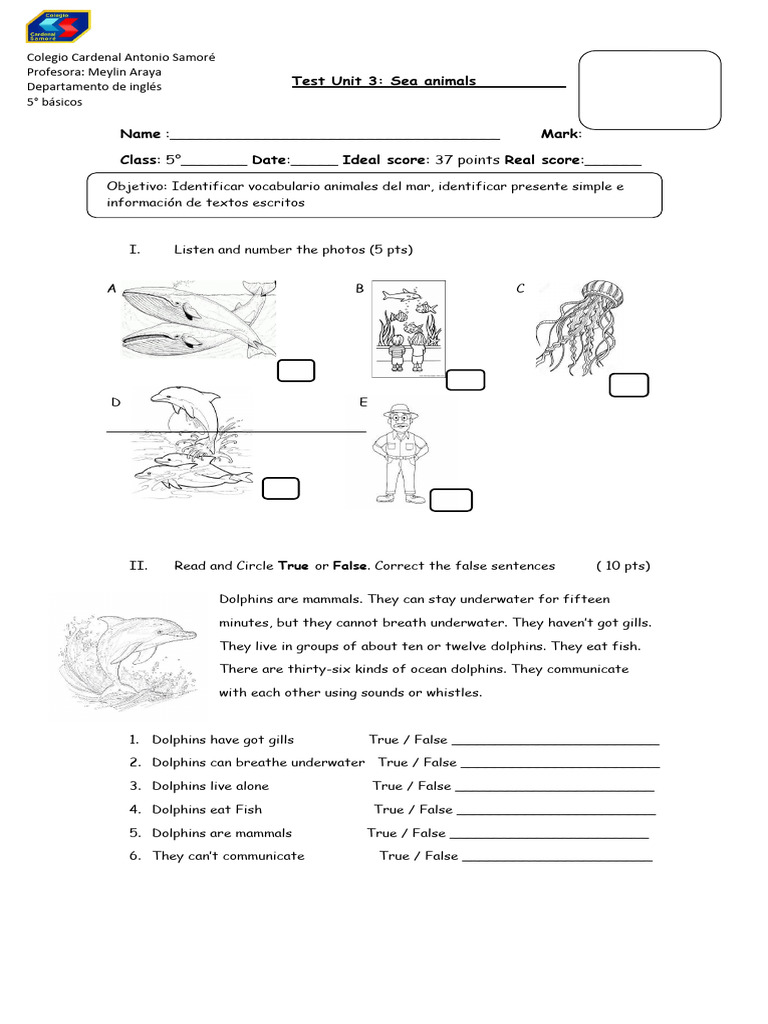 test sea animals | PDF | Dolphin | Fish
