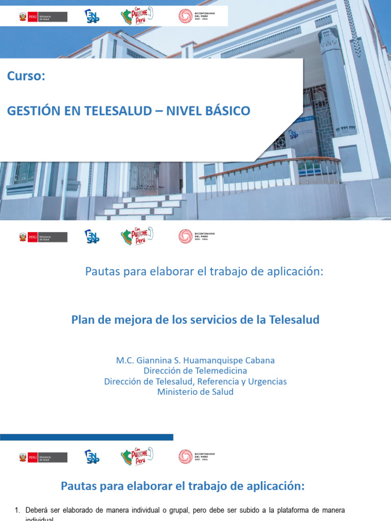 Pautas para Elaborar El Trabajo de Aplicación | PDF