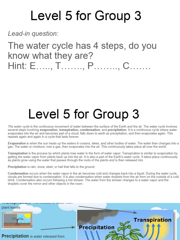 Understanding the Water Cycle Steps | PDF | Water Cycle | Evaporation