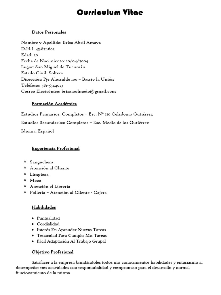 Curriculum Vitae Original | PDF | Crecimiento personal y profesional