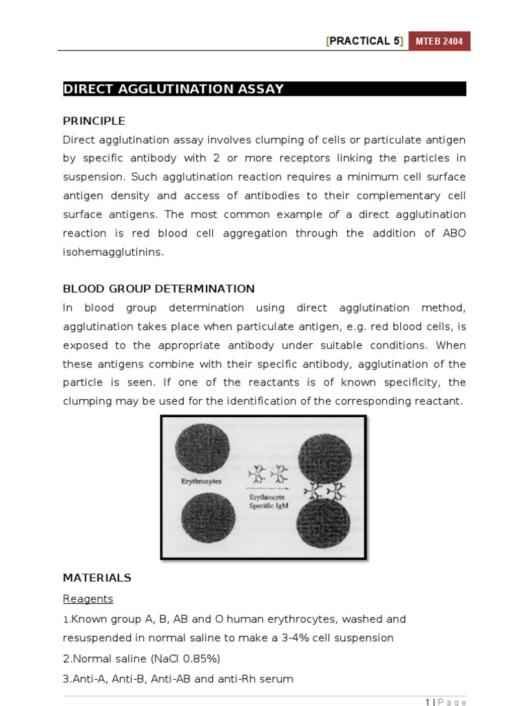 Direct Agglutination Assay | Blood Type | Antibody