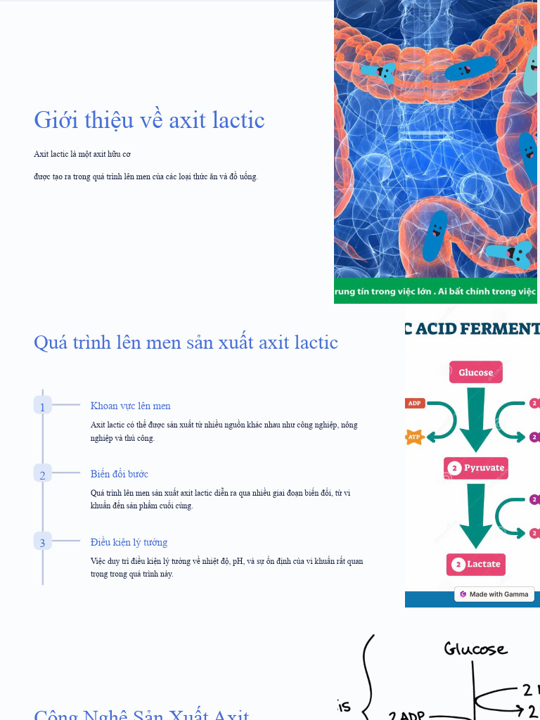 Gioi Thieu Ve Axit Lactic | PDF