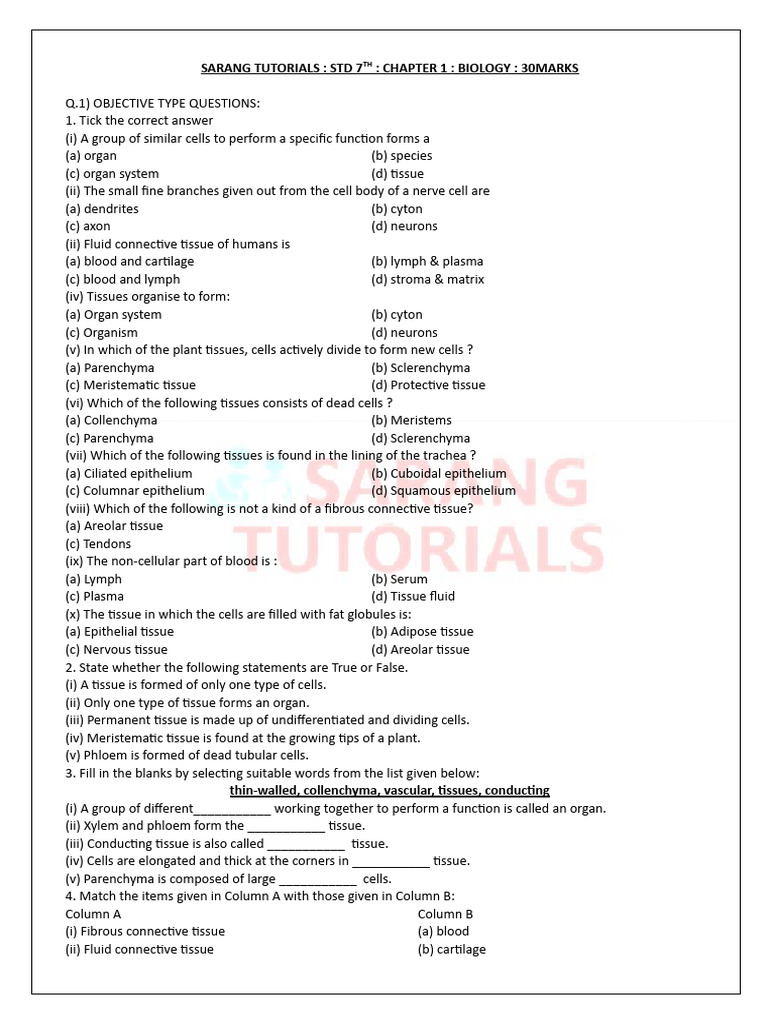 Tissue Types and Functions Overview | PDF | Tissue (Biology) | Epithelium
