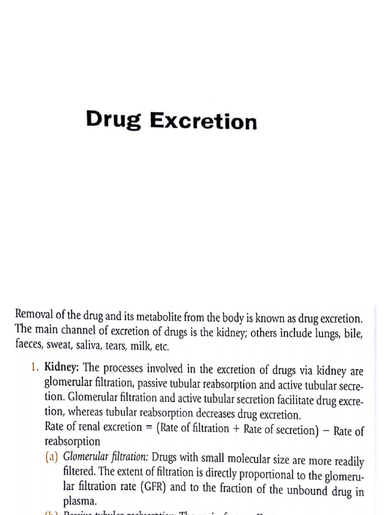 Drug Excretion | PDF