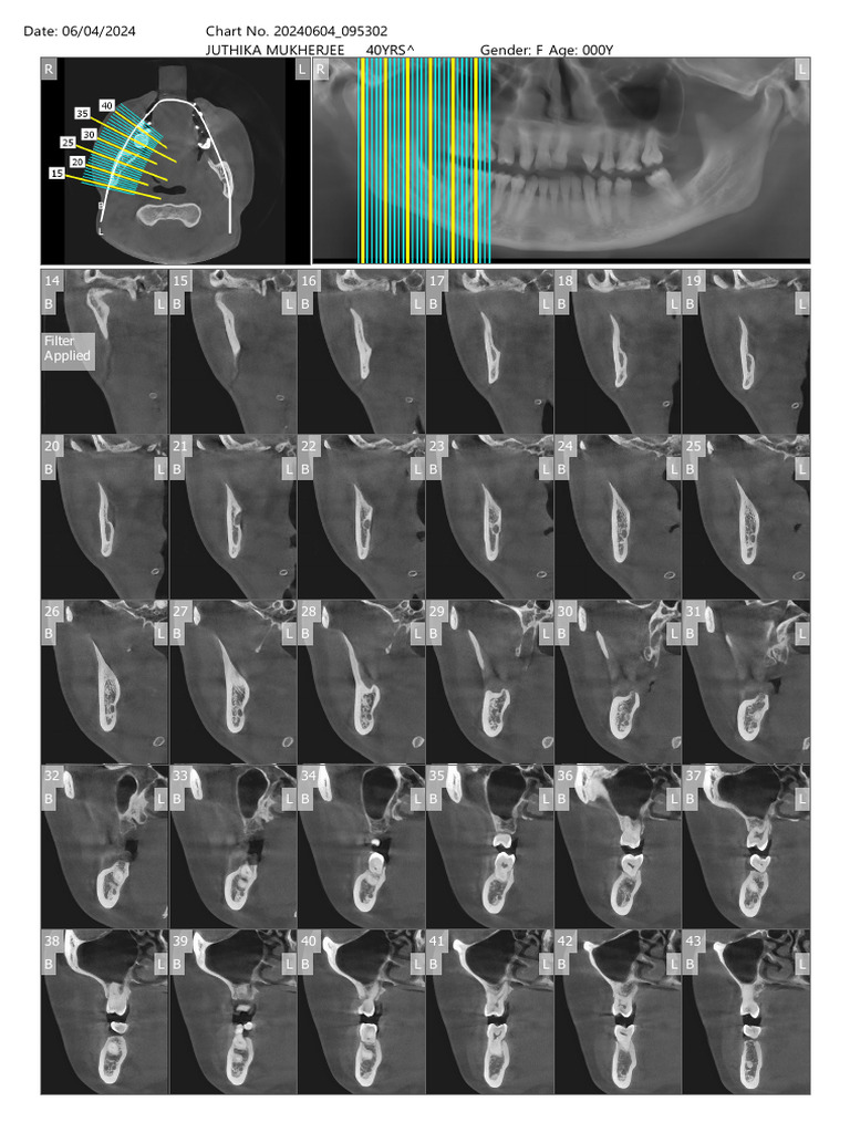 Aic Juthika Mukherjee | PDF