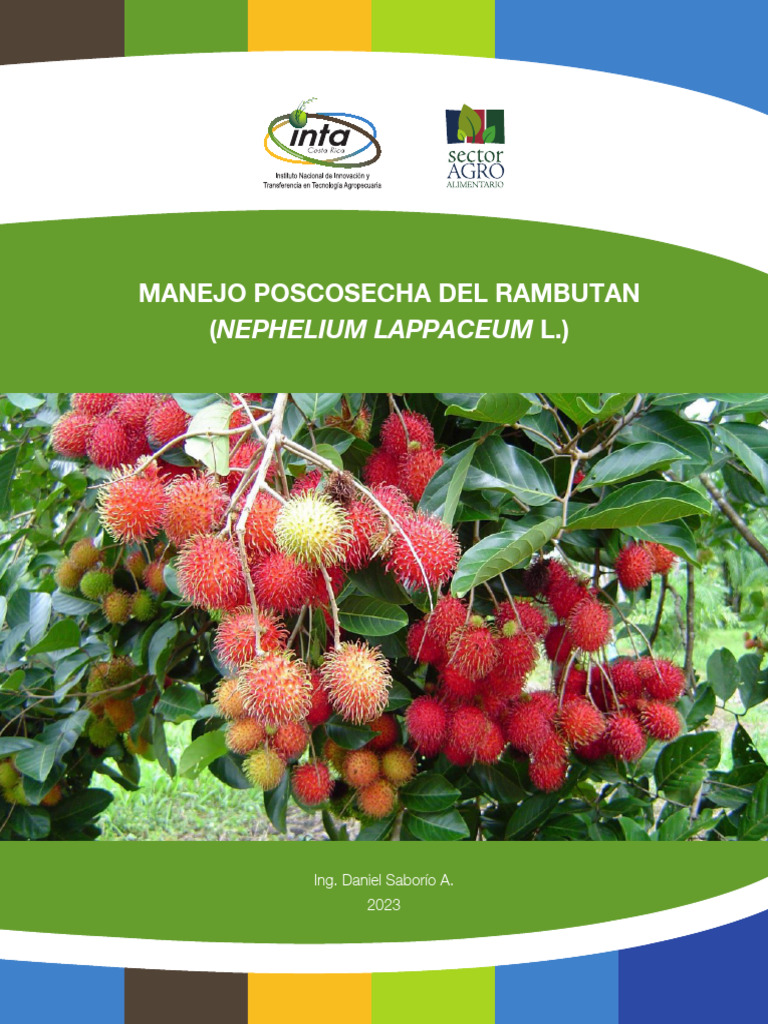 8 Rambutan v3 | PDF | Fruta | Cosecha