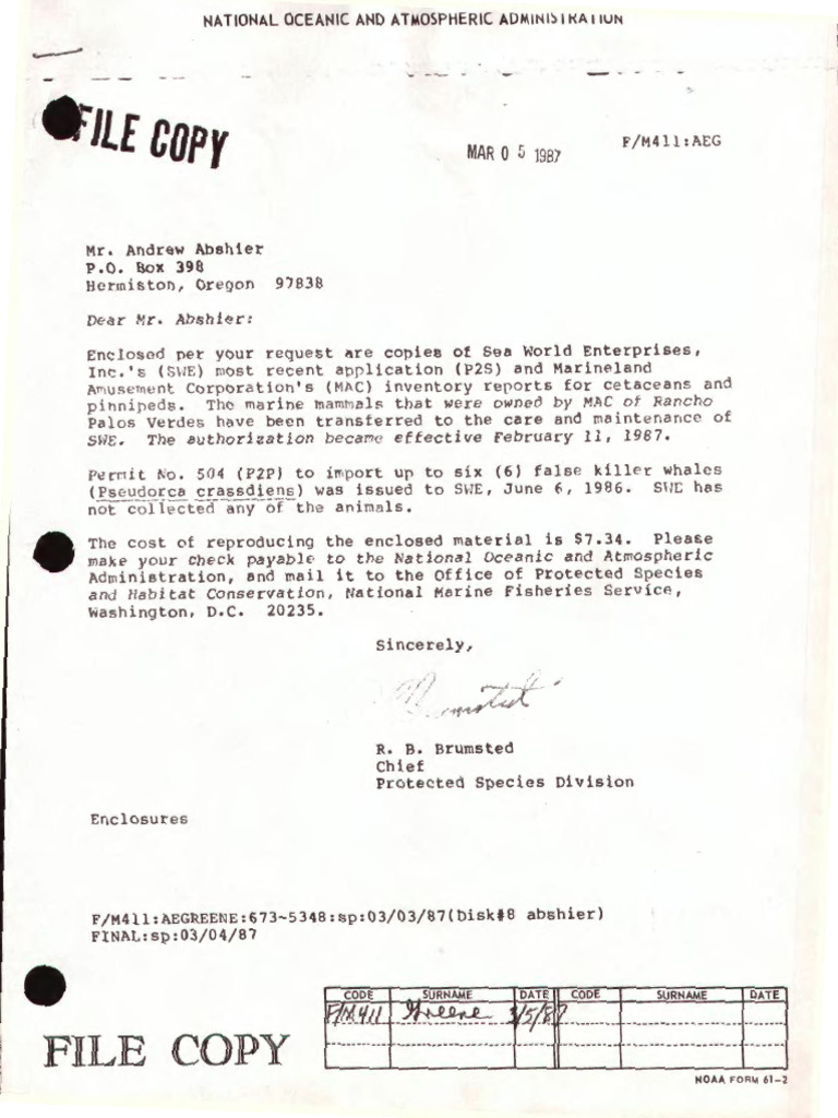 File C OPY: The The 1 1 | PDF | Art