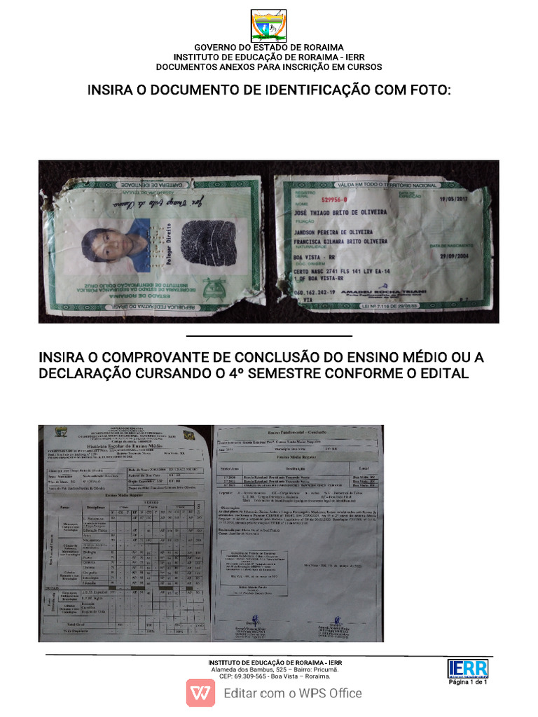 IERR MODELO ANEXO v2 | PDF