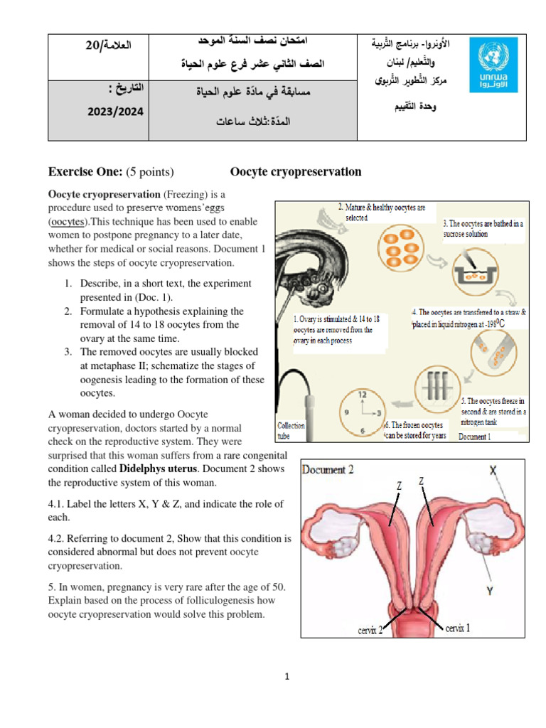 G12 Ls Biology Unified Midyear Exam 2024 Download Free Pdf