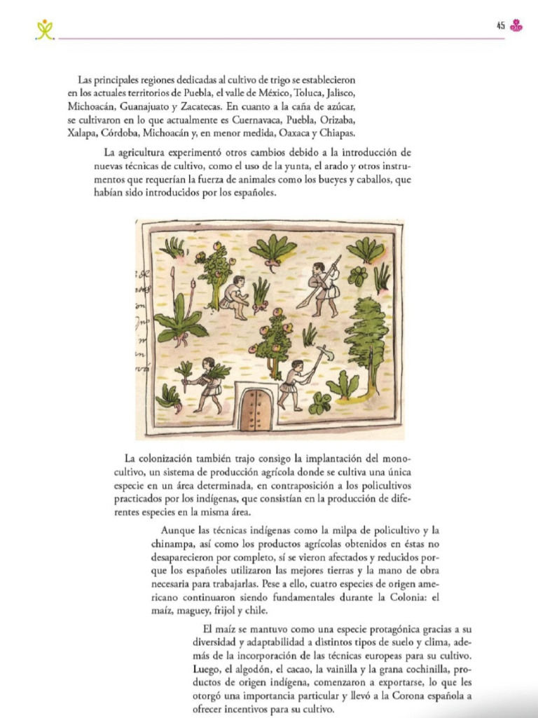 Screenshot 20240510 123213 WhatsApp | PDF