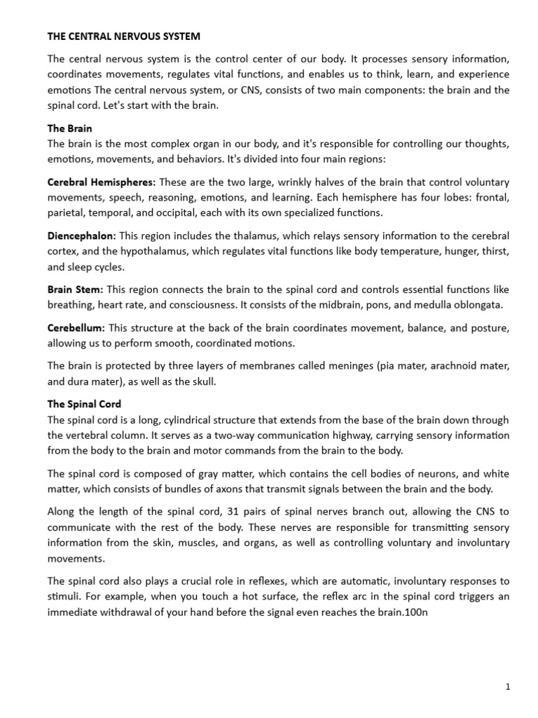 The Central Nervous System | PDF | Central Nervous System | Brain