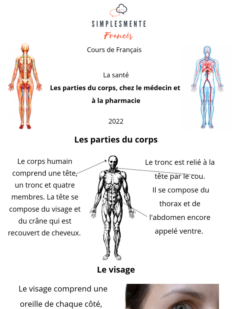 Parties du corps humain expliquées | PDF | Anatomie | Anatomie humaine