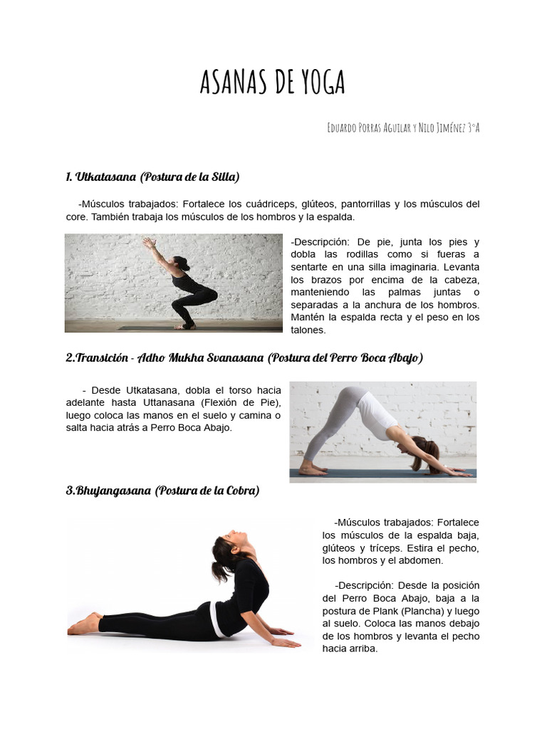 Asanas de Yoga: Descripciones y Transiciones | PDF