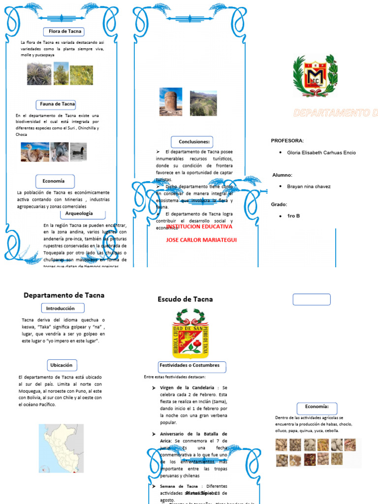 BrayAN Triptico Tacna | PDF