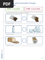 Year 6 Science Revision Booklet | PDF | Artery | Blood