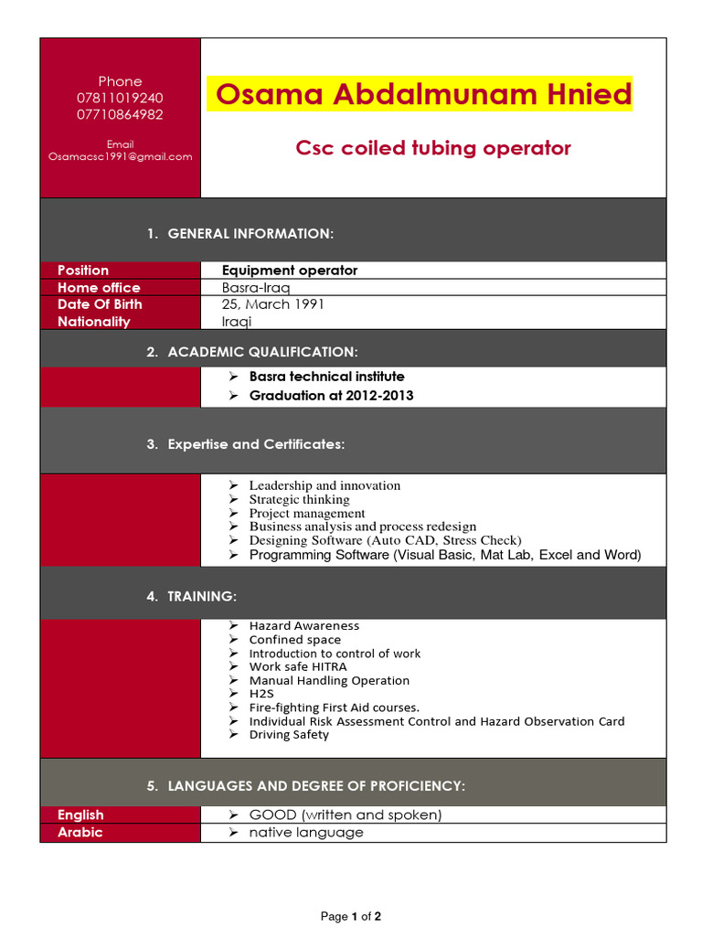Osama CV | PDF