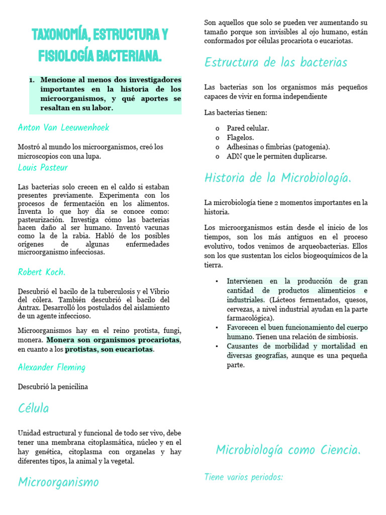 Taxonomía, Estructura y Fisiología Bacteriana | PDF | Las bacterias ...