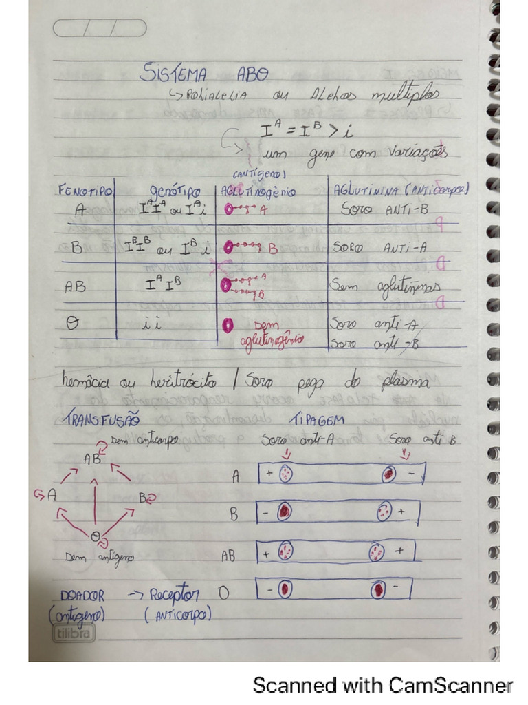 Sistema ABO | PDF