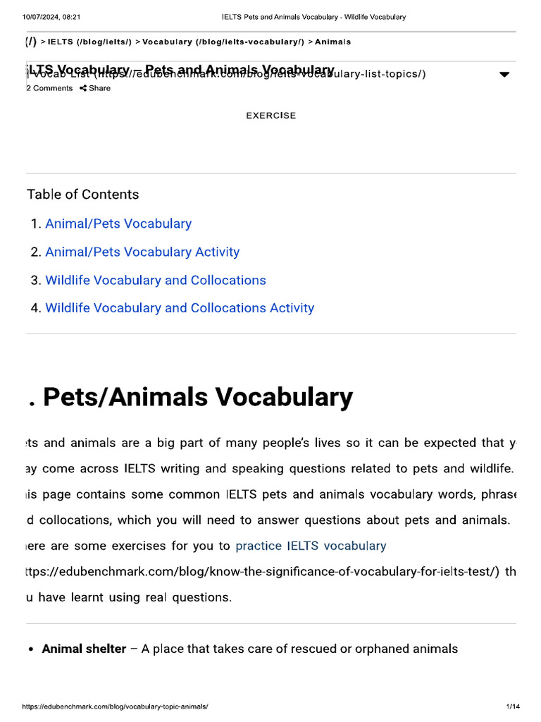 Pets Vocab | PDF