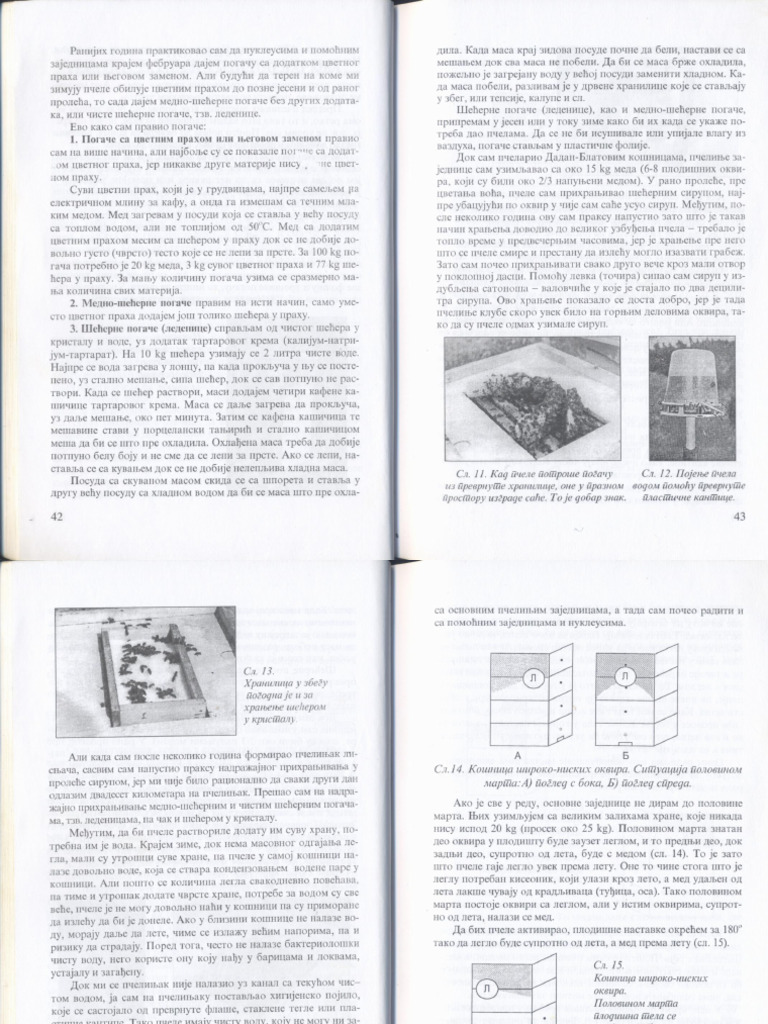 Moj Pcelinjak Branko Relic 1999-23-33 | PDF