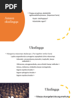 Isizulu Lesson Plan Template | PDF