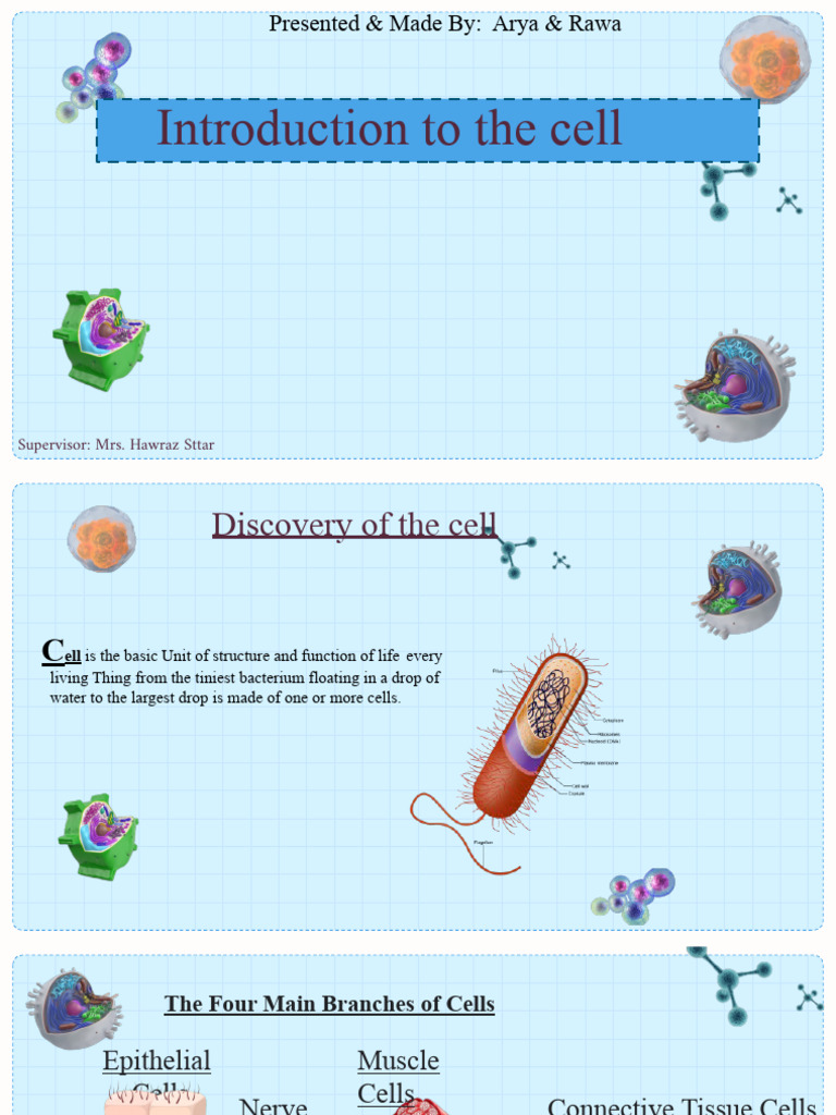 Cells | PDF