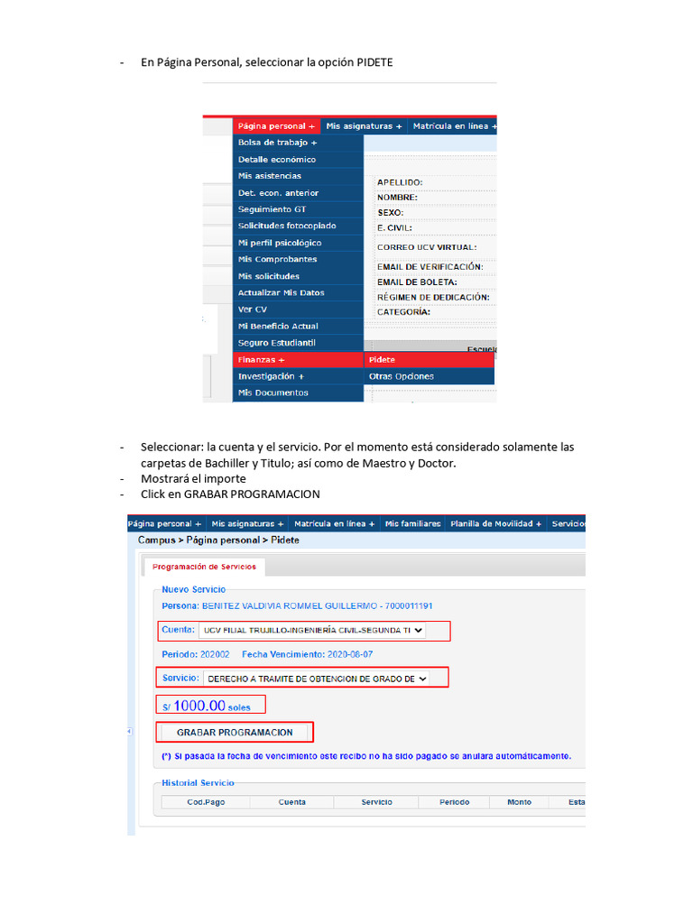 Programar Carpetas Trilce Web - Actualizado | PDF