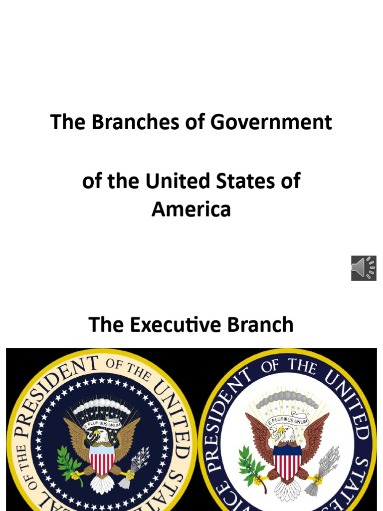 The Branches of Government of The U.S. | PDF | Federal Government Of ...