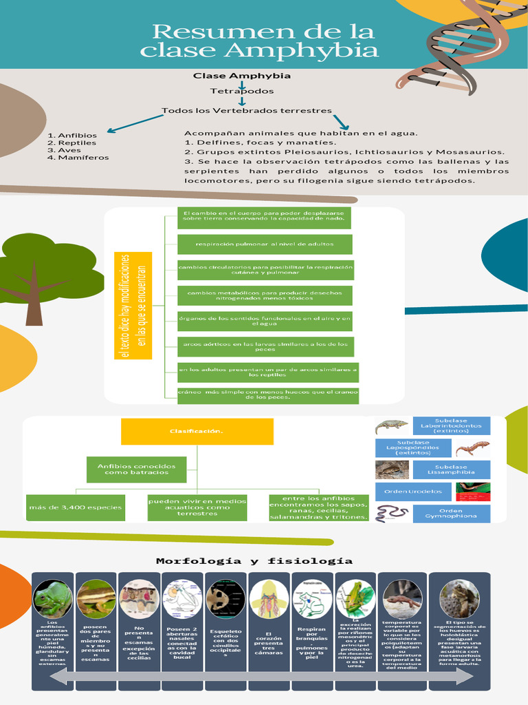 Clase Amphybia: Caecilia orientalis | PDF | Depredación | Anfibio
