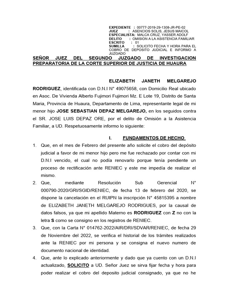 Escrito A PJ | PDF | Justicia | Crimen y violencia