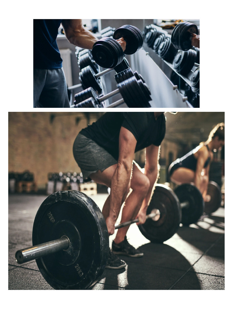 Gym | PDF