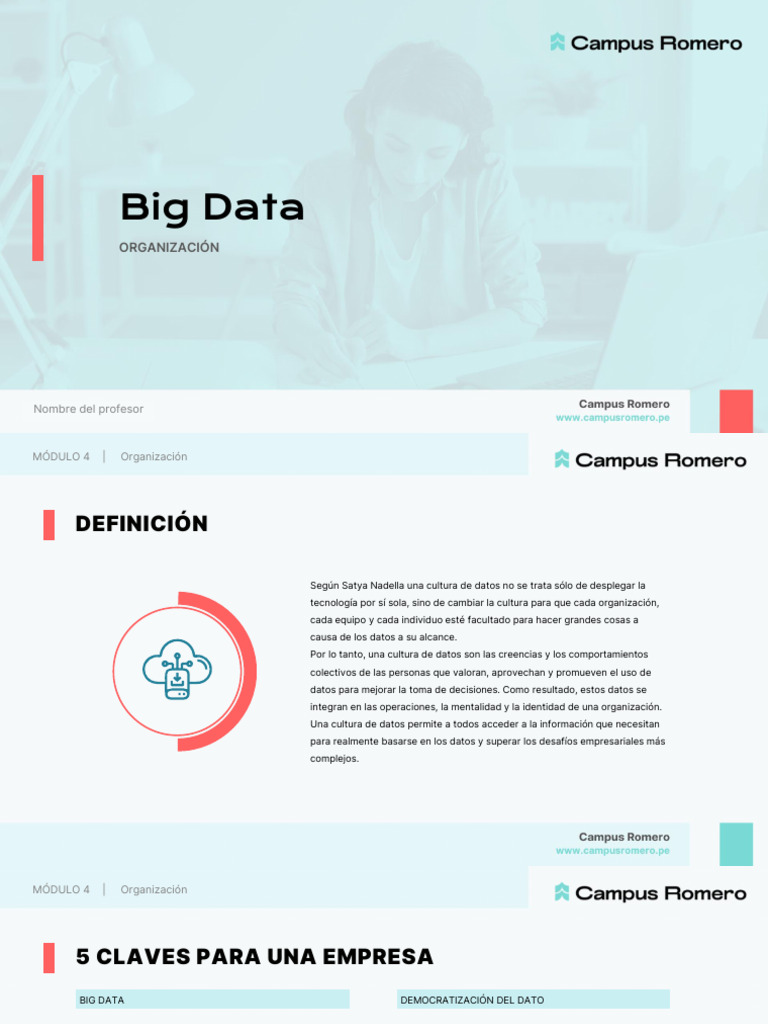 Módulo IV - ORGANIZACIÓN | PDF | Big Data | Business