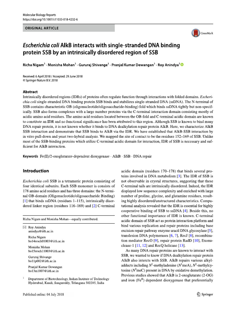 11 MBR Ecoli SSB Alkb | PDF