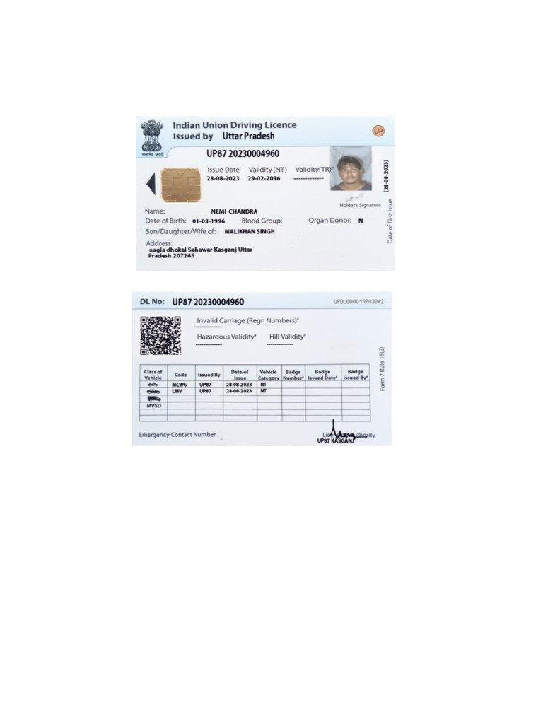 Driving Licence | PDF