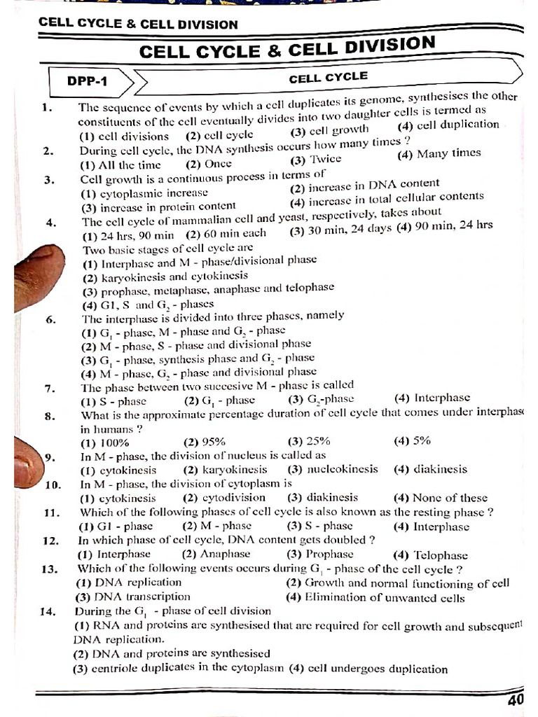 Cell Cycle and Division | PDF