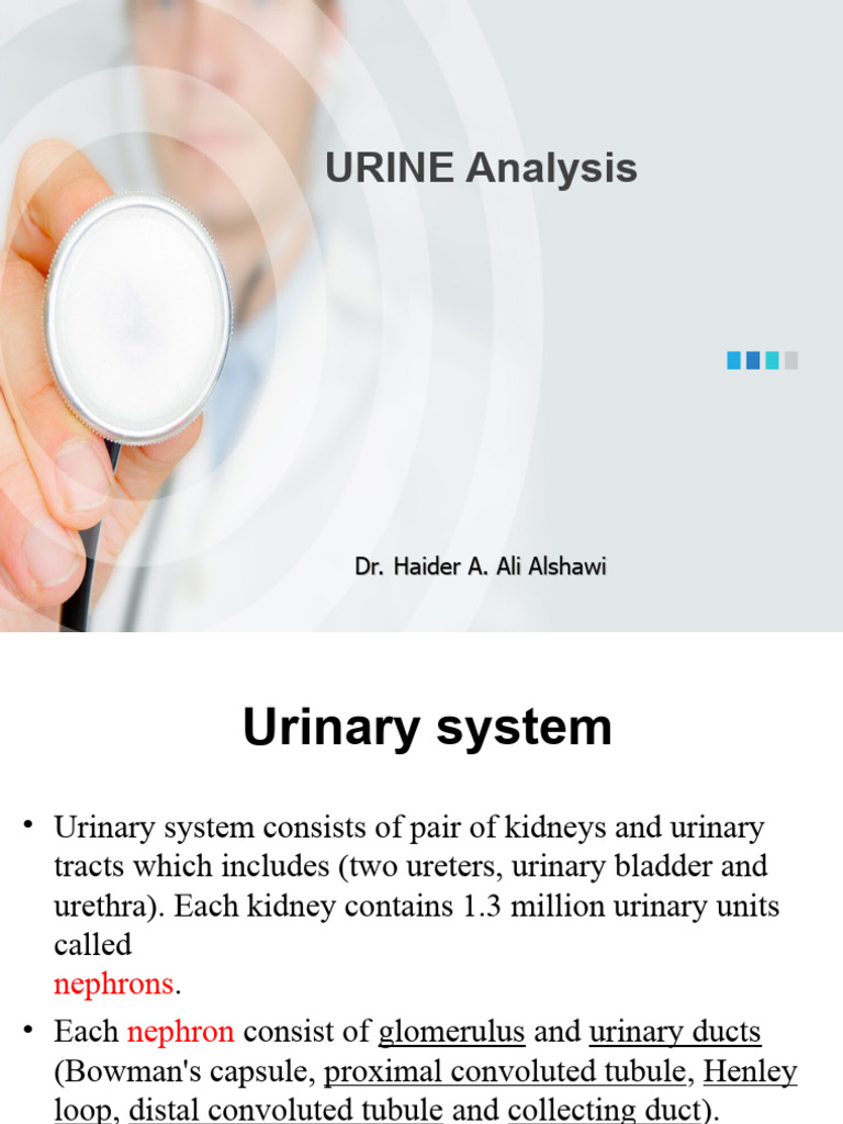 Lecture 2.urine Analysis | PDF | Urinary System | Urine
