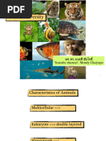 Taxonomy Cheat Sheet | PDF