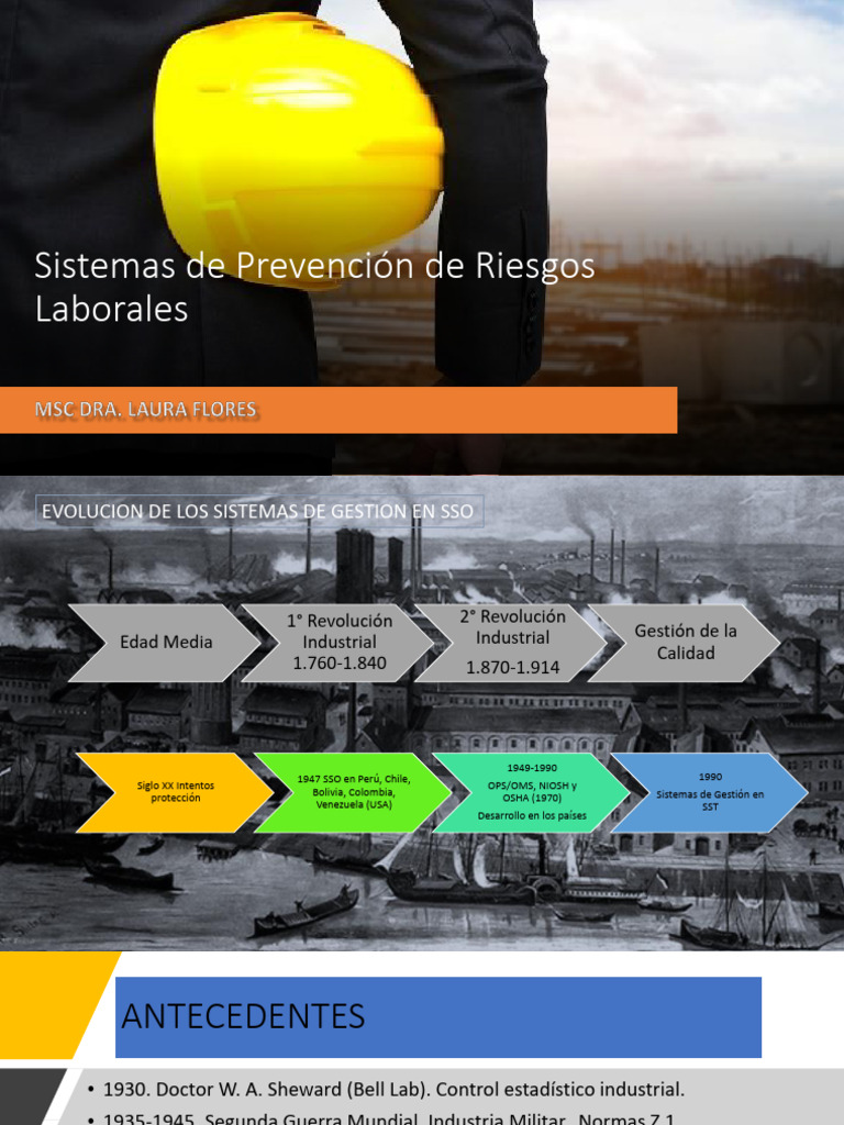 Sistemas de Prevenci N de Riesgos | PDF | Calidad (comercial)