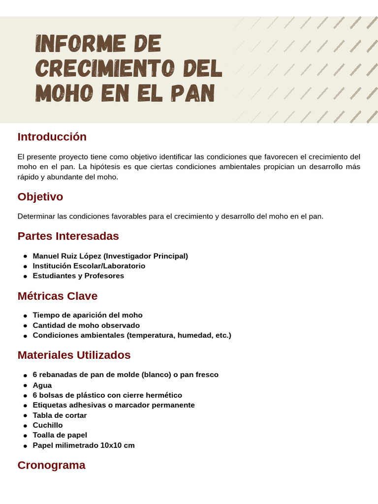 INFORME de Crecimiento Del Moho en El Pan | PDF | Molde | Panes