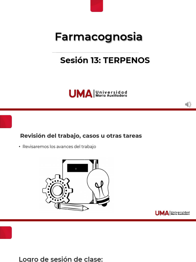 Semana 13 Terpenos Pdf Aceite Esencial Carotenoide