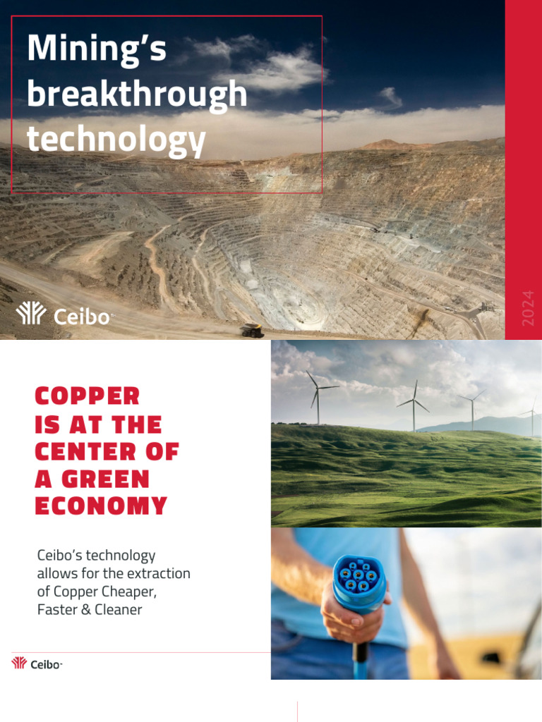 Ceibo Leaching | PDF | Copper | Materials