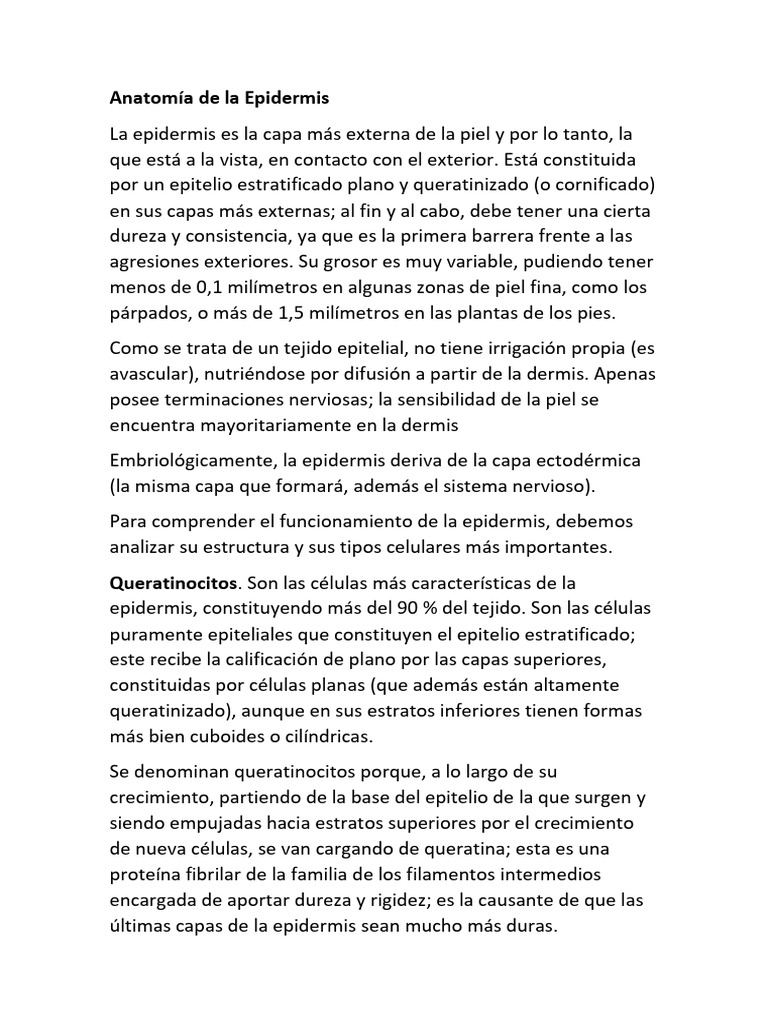 Anatomía de La Epidermis | PDF | Epidermis | Piel