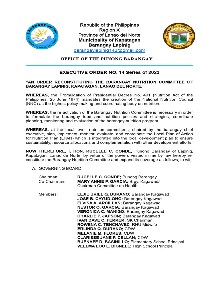 Barangay Nutrition Committee | PDF