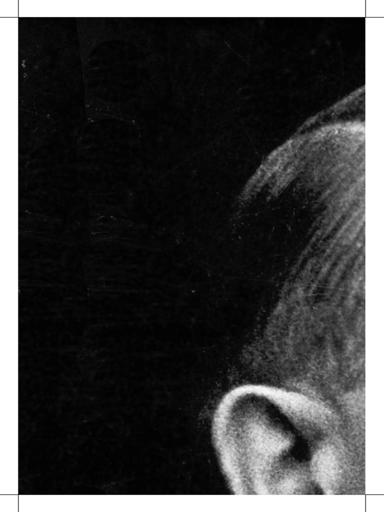 Adolf Hitler | PDF