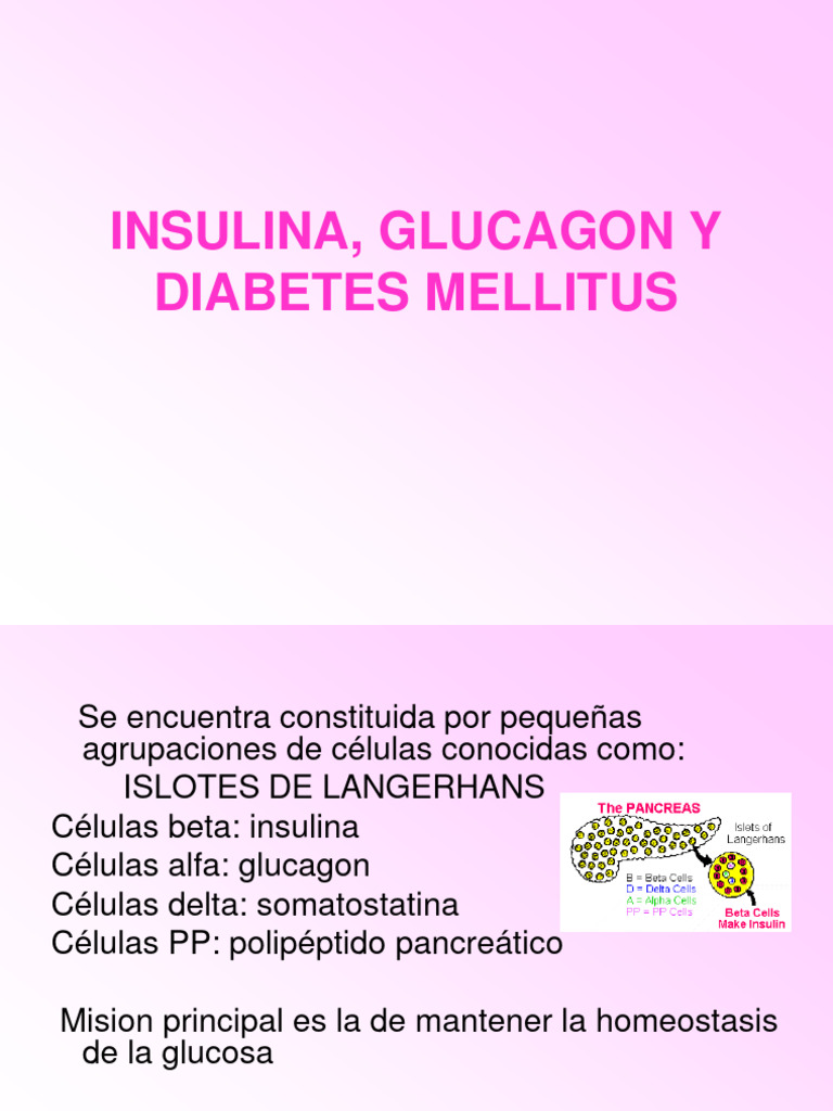 Hormonas Pancreáticas y Diabetes Mellitus | PDF | Insulina | Glucógeno
